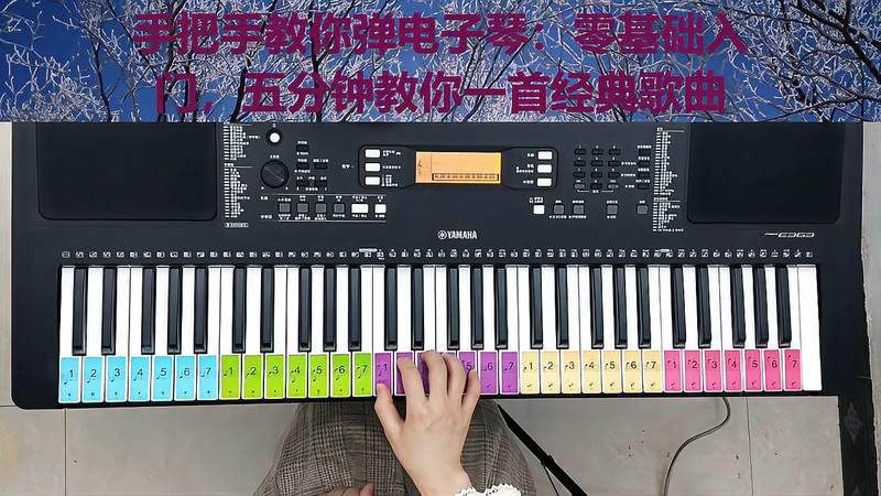 零基础电子琴入门自学教程,电子琴左手如何伴奏“单指和弦”