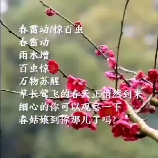 图片来源:网络 春雷一响通地气,惊醒万物百花开。