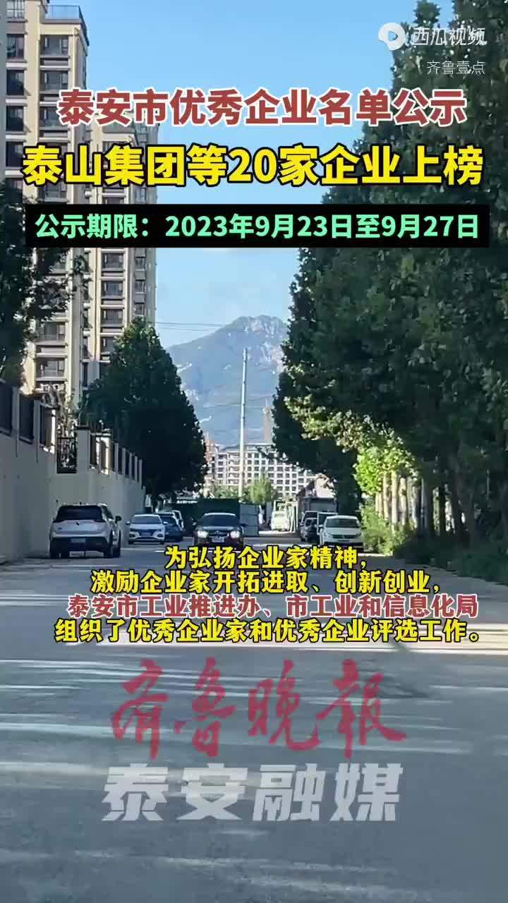 果然视频|泰安市优秀企业名单公示,泰山集团等20家企业上榜