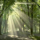 爱玩游戏的小世界 