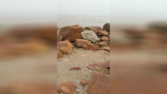 大海!我们又见面啦!面向大海,我们的奋斗目标一定实现!