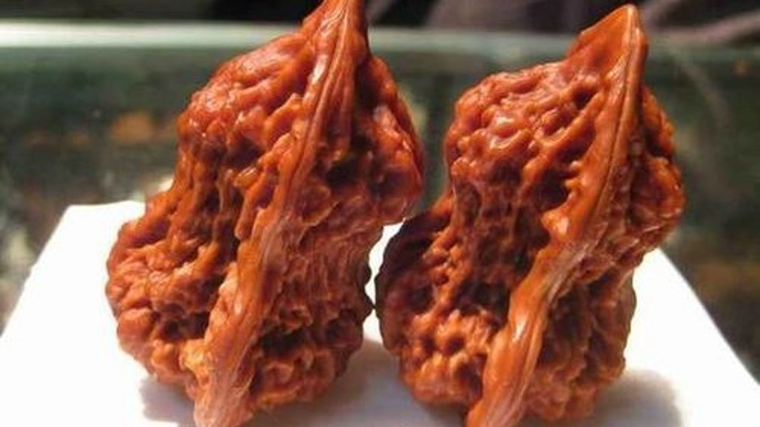 资深专家教你鉴别文玩核桃!千万别错过!