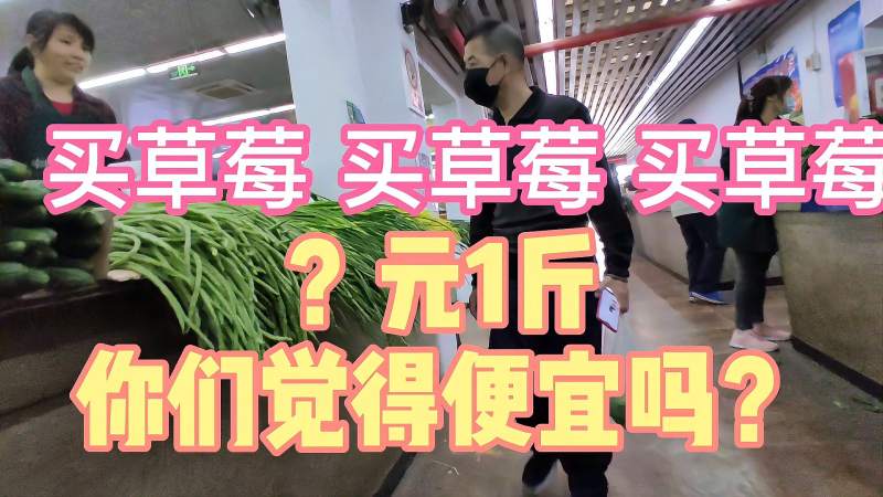 去菜市场买草莓,看看北京菜市场草莓多少钱一斤?