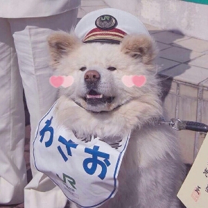 南瓜咖喱 
