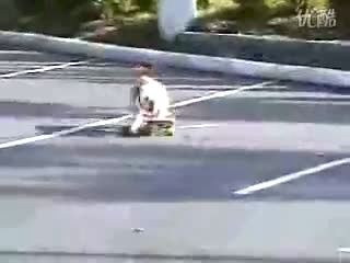 超级搞笑小白狗 萌狗狗图片搞笑视频集锦