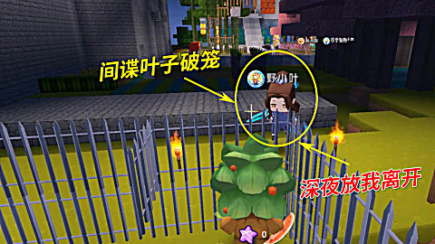 迷你世界墨渊与小宇荒岛求生 第62集 墨墨逃出城被抓回,间谍叶子深夜...