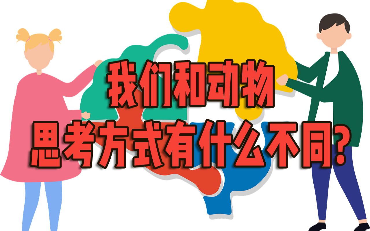 什么是抽象思维和形象思维？（上）