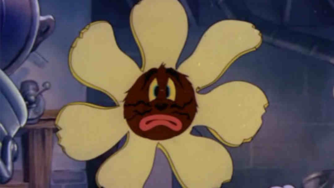 猫和老鼠全集第153集