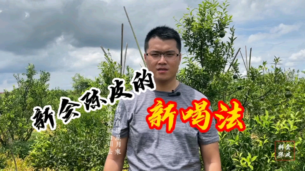 陈皮白茶的新喝法