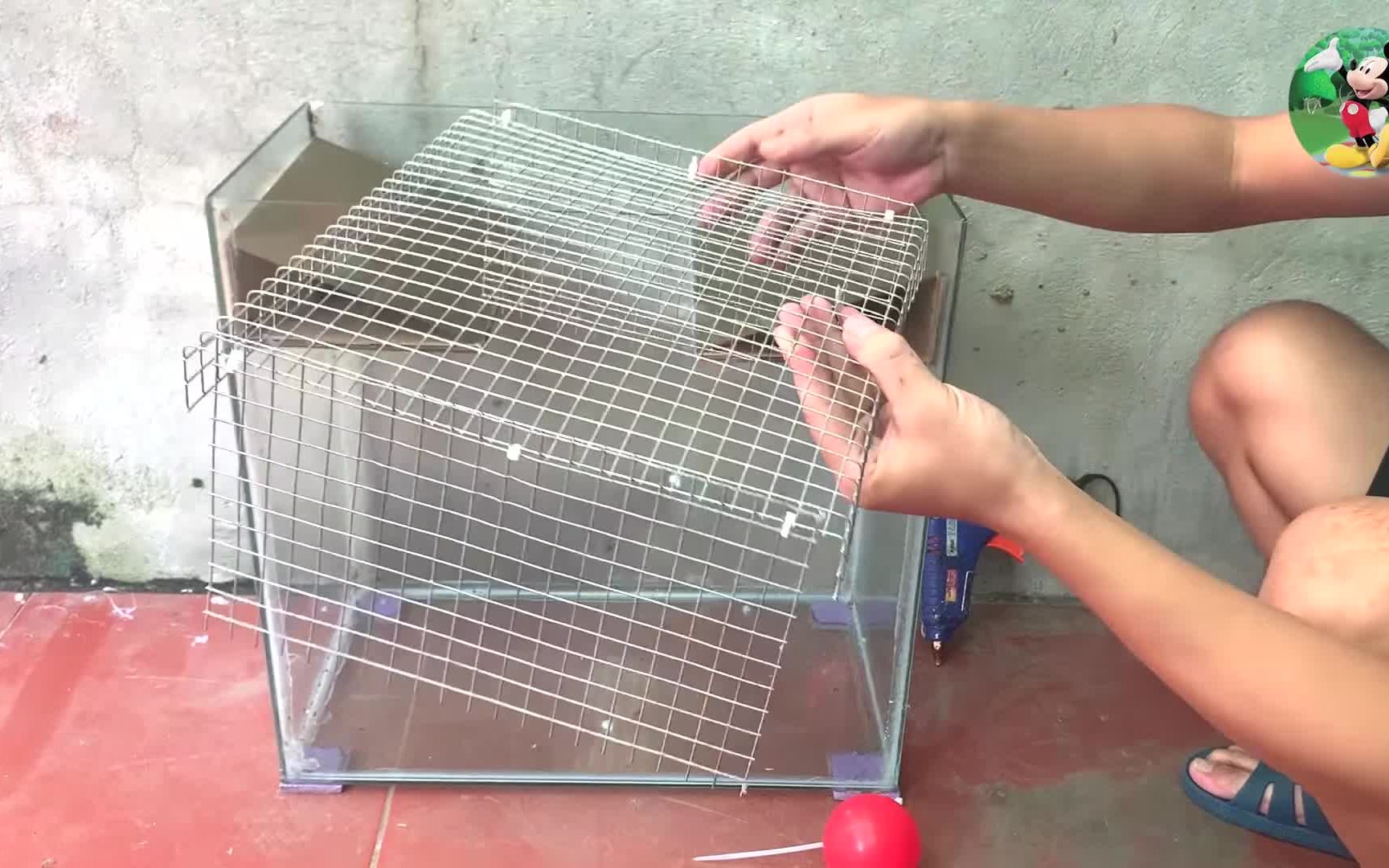 如何制作高效的捕鼠器玻璃罐简易捕鼠器