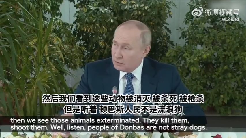 普京回应空姐为什么对乌动武