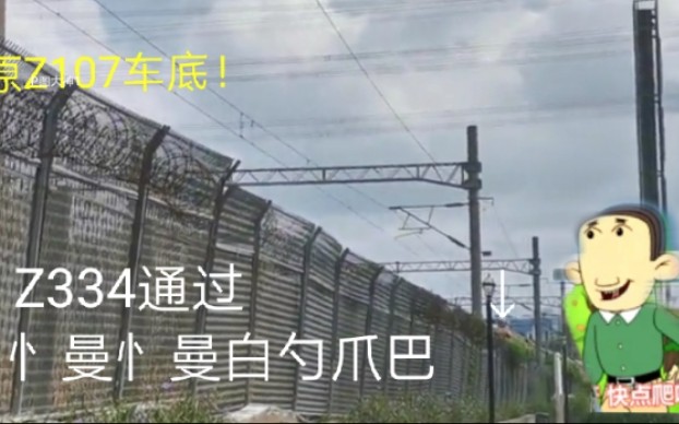 Z332慢慢爪巴过深圳工业站(广深线Ⅵ道)