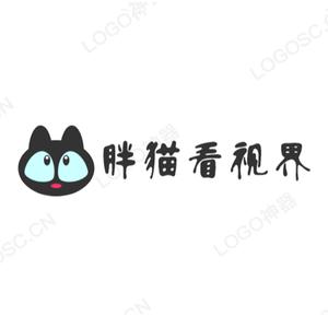 胖猫看视界 