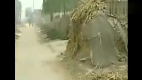 公公与儿媳通奸实录