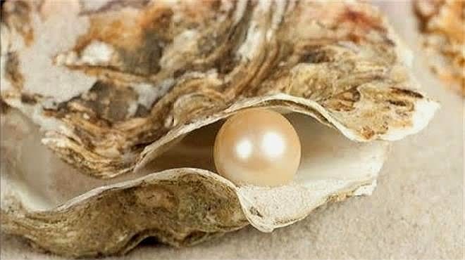 温润光泽的珍珠,究竟是怎么形成的,看完恍然大悟!