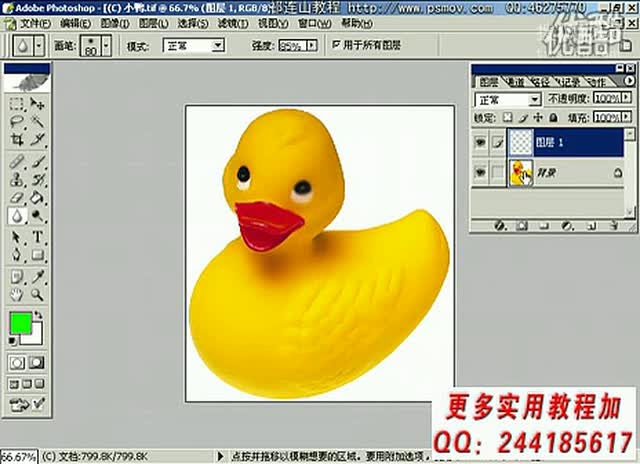 PS cs5从新手高手教程从入门到精通2-18