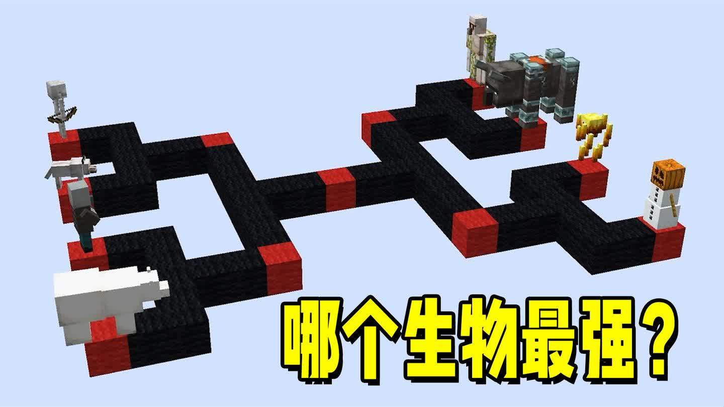 我的世界:战斗力大比拼!哪个生物最厉害?