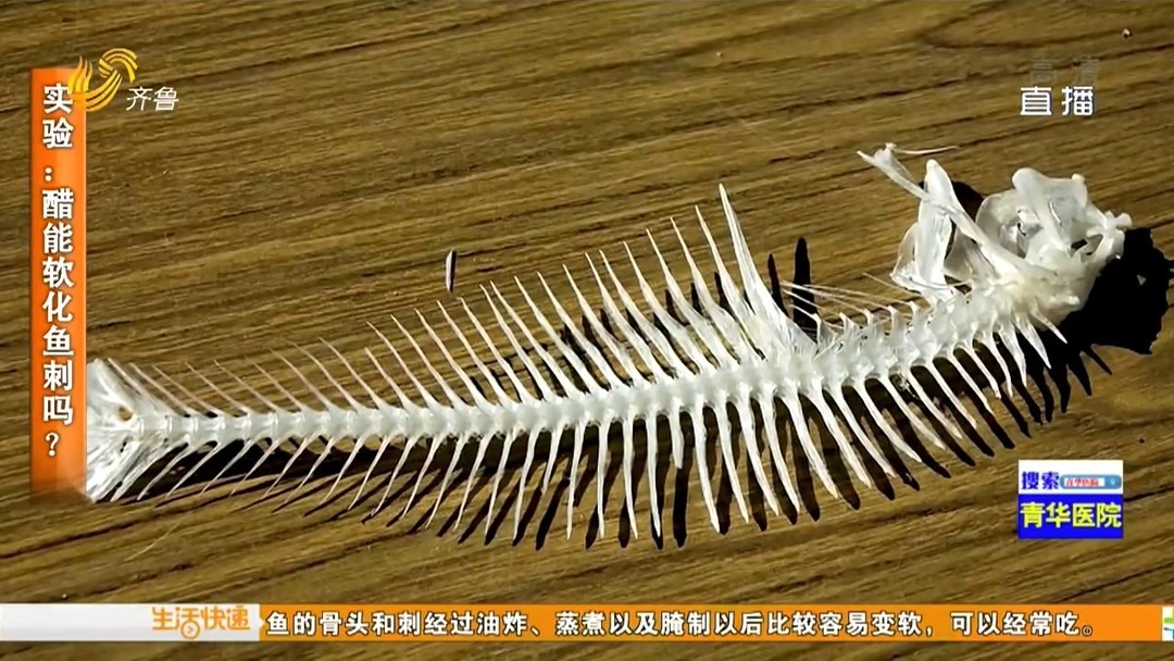 专家:鱼刺卡喉勿用土办法处理
