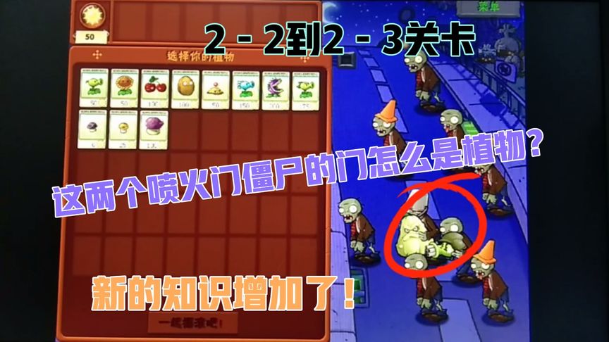 植物大战僵尸贝塔版ex模式:这喷火门就是怎么还有植物保护?