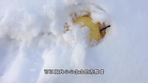 跟东北老铁学做“冻梨”,像吃梨果冻,没见过梨能有这么多汁水!
