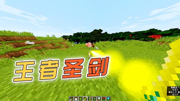 我的世界:原来有比钻石剑更厉害的剑!还有一道圣光!太酷了