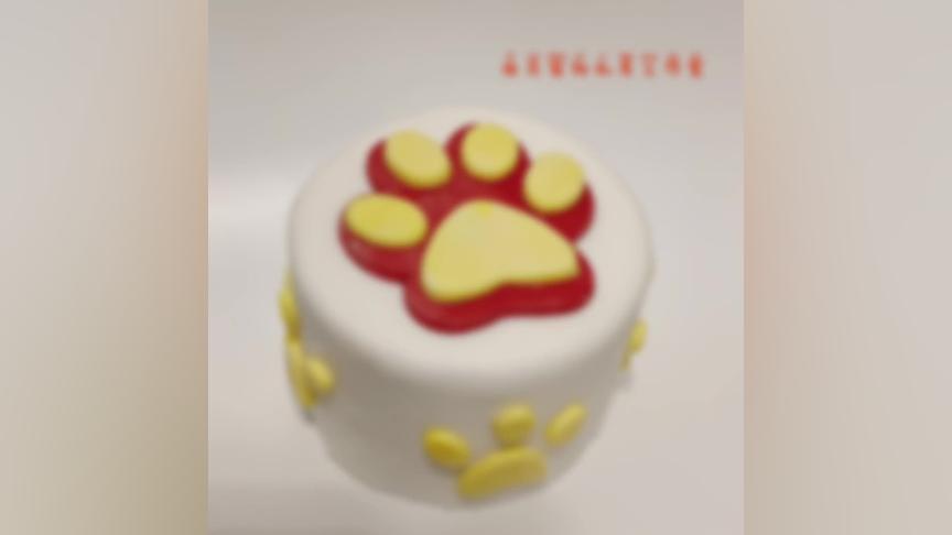 #蛋糕 #宠物零食 陪伴与关爱,ߐ�ߐ�都需要