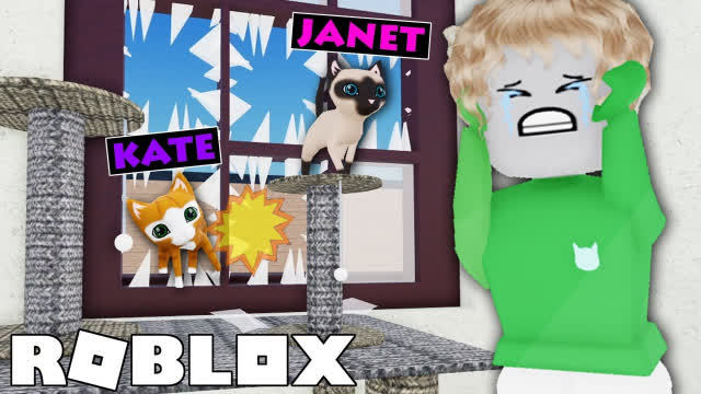 ROBLOX小猫模拟器:趁主人不在把家重新装修一下