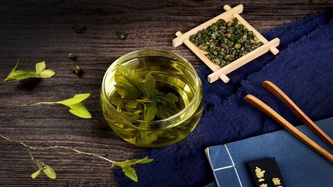 经常疲劳、头晕眼花?可以喝桑叶茶缓解,会给你意想不到的效果