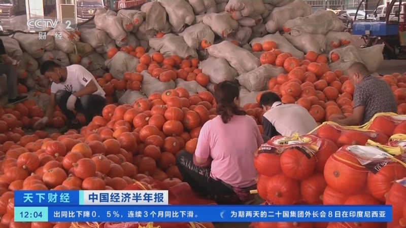 [天下财经]中国经济半年报 受天气影响 菜价出现小幅波动