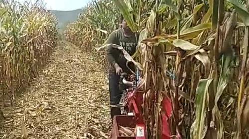 人类最伟大的发明就是节省了劳动力,这样的神器省时省力,太接地气了