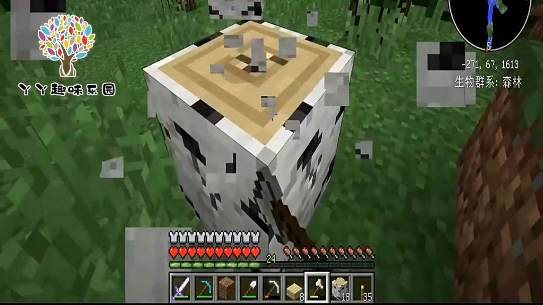 我的世界:丫丫去了白桦林,砍树一日游,开心!