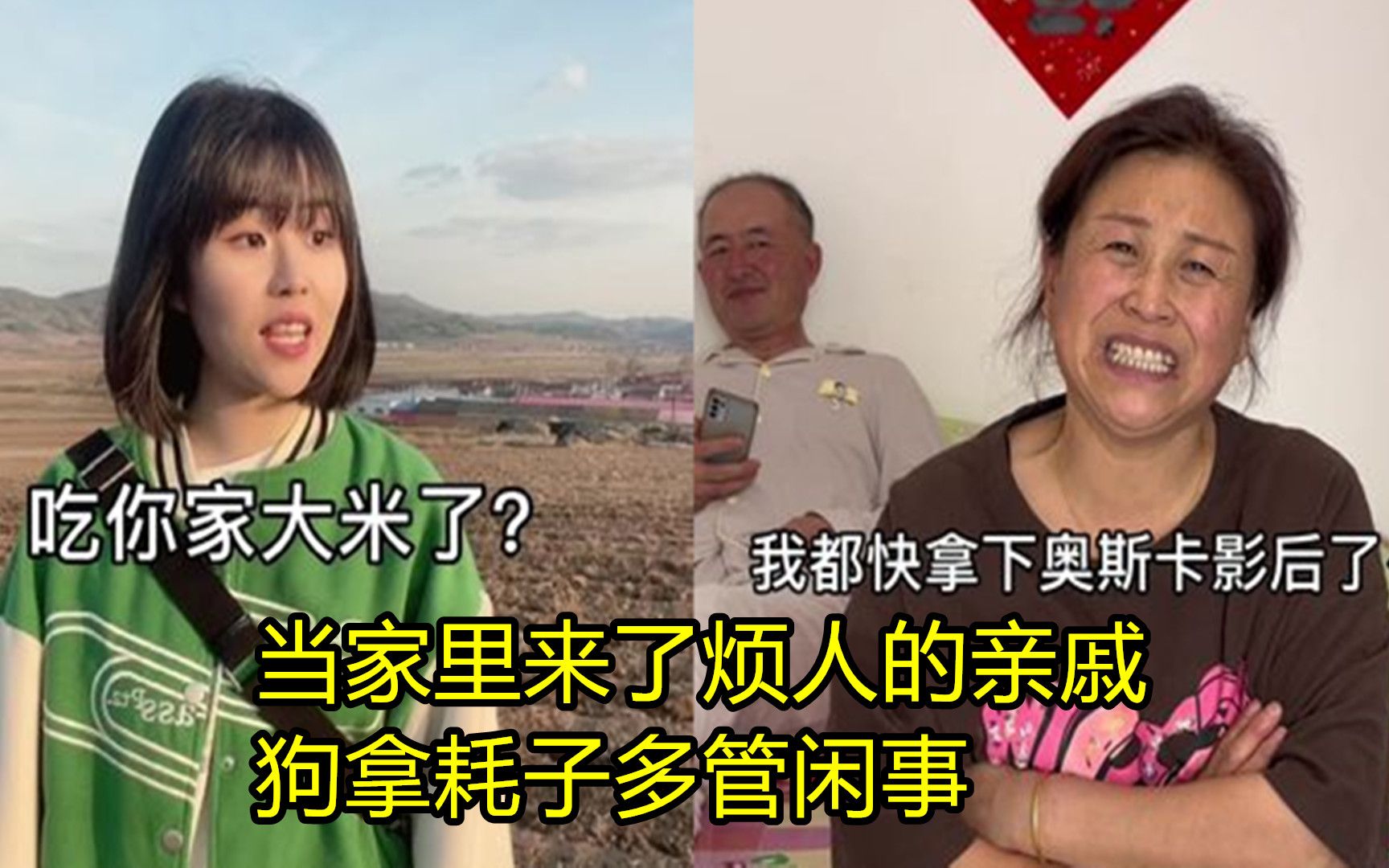 皮皮在农村:东北姑娘怒怼烦人的亲戚,狗拿耗子多管闲事!