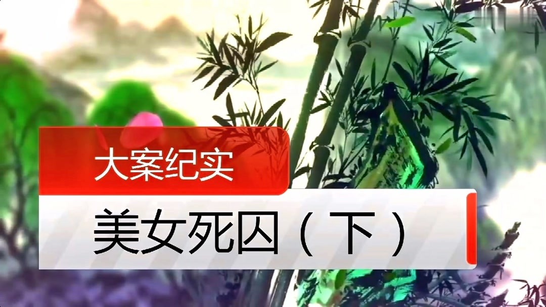 大案纪实:美女死囚(下)