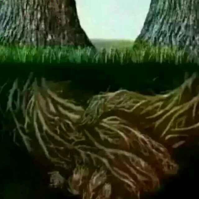 郝闪烁12443972 