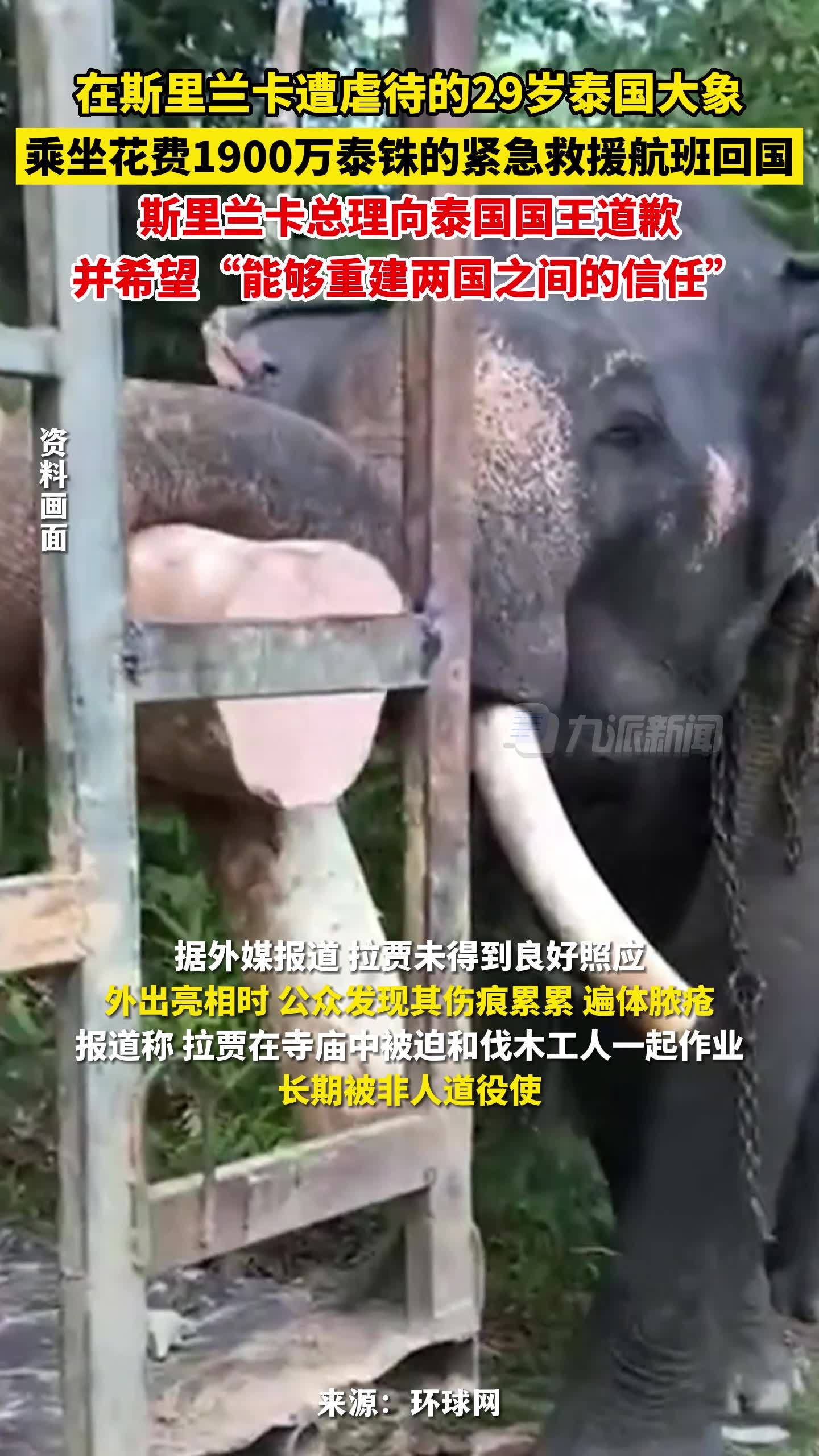...在斯里兰卡遭虐待的泰国大象返回祖国 ,斯里兰卡总理向泰国国王道歉...