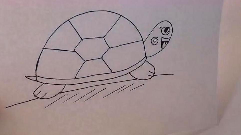易学的花边简笔画,小小的乌龟真可爱