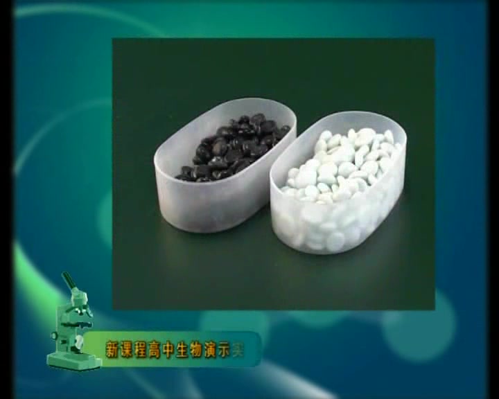 【高中生物】生物实验录像——模拟类