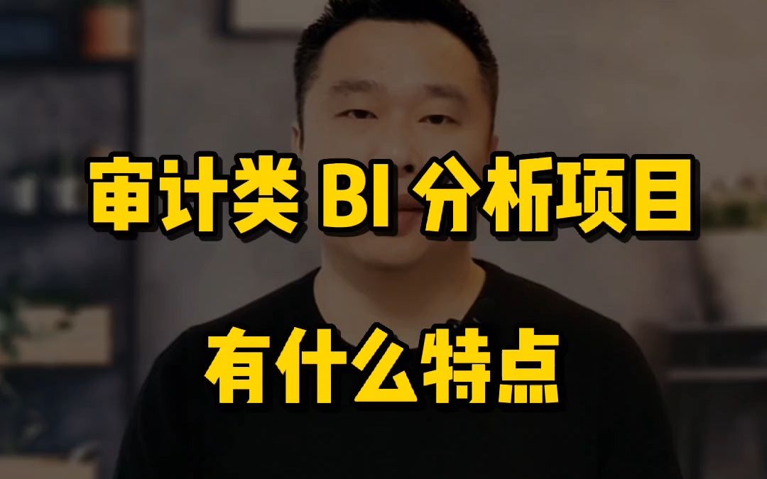 审计类 BI 分析项目有什么特点