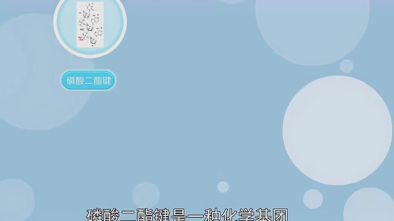 磷酸二酯键是什么?一分钟了解磷酸二酯键,一起来看看吧!