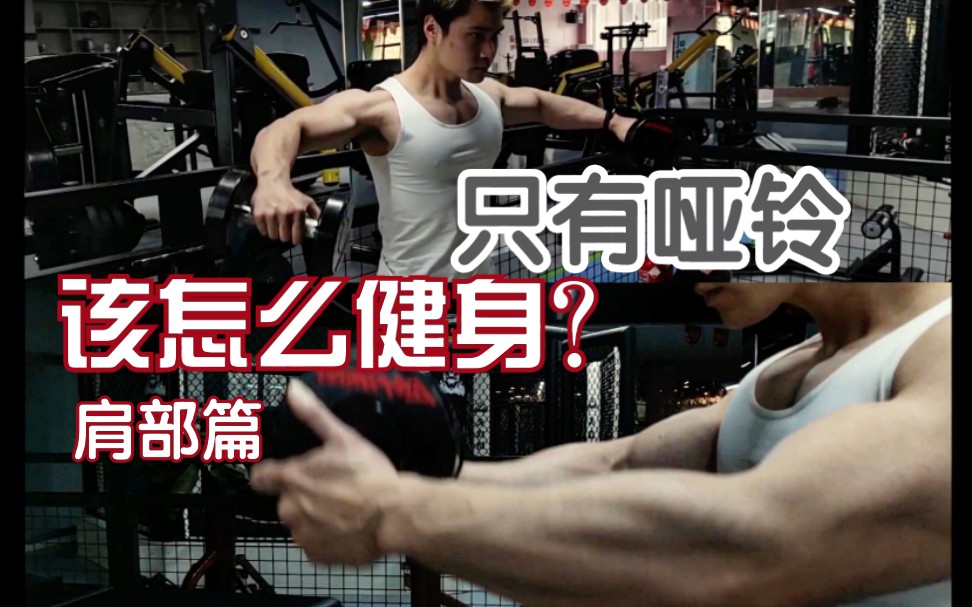 只有一副哑铃该如何健身?新手干货!哑铃获得好形体之【三角肌篇】