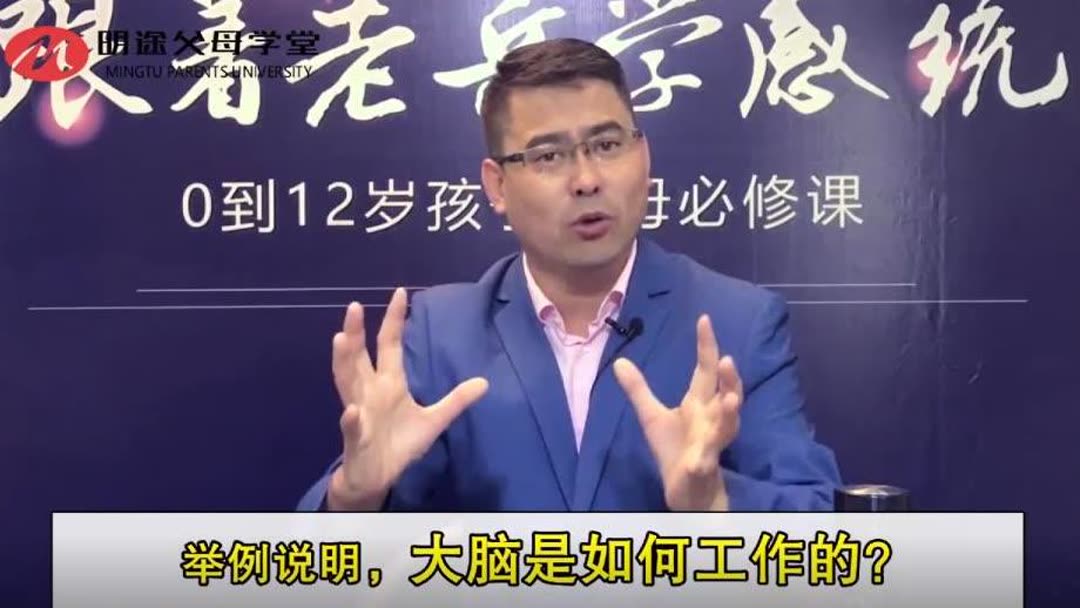 感觉学习—大脑是如何工作的