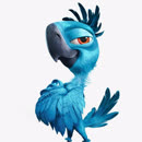 蓝色鹦鹉大人 