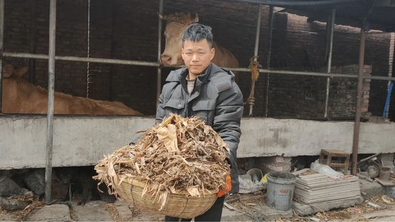 乡村畜牧养殖状况,需要升级规范基础设施,加强疫病防治措施