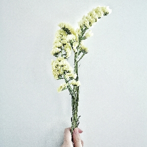 MissGreen- 