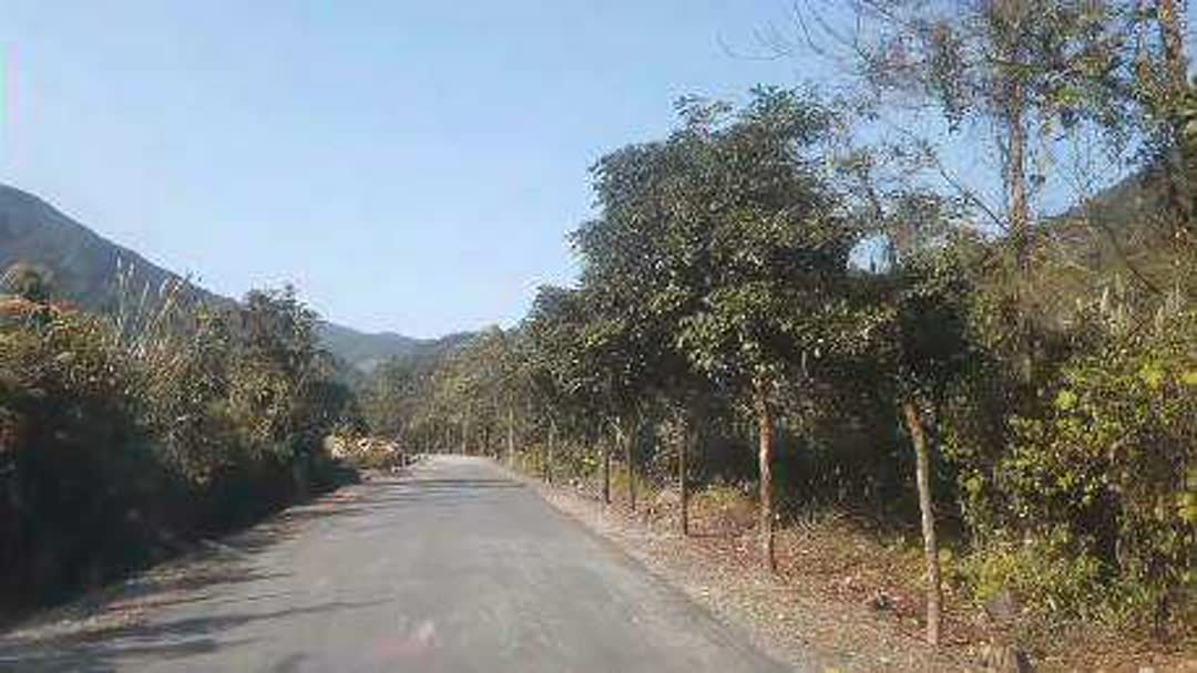 广西沿边公路已被中国最长国道219收编,里程碑都排到10000加了