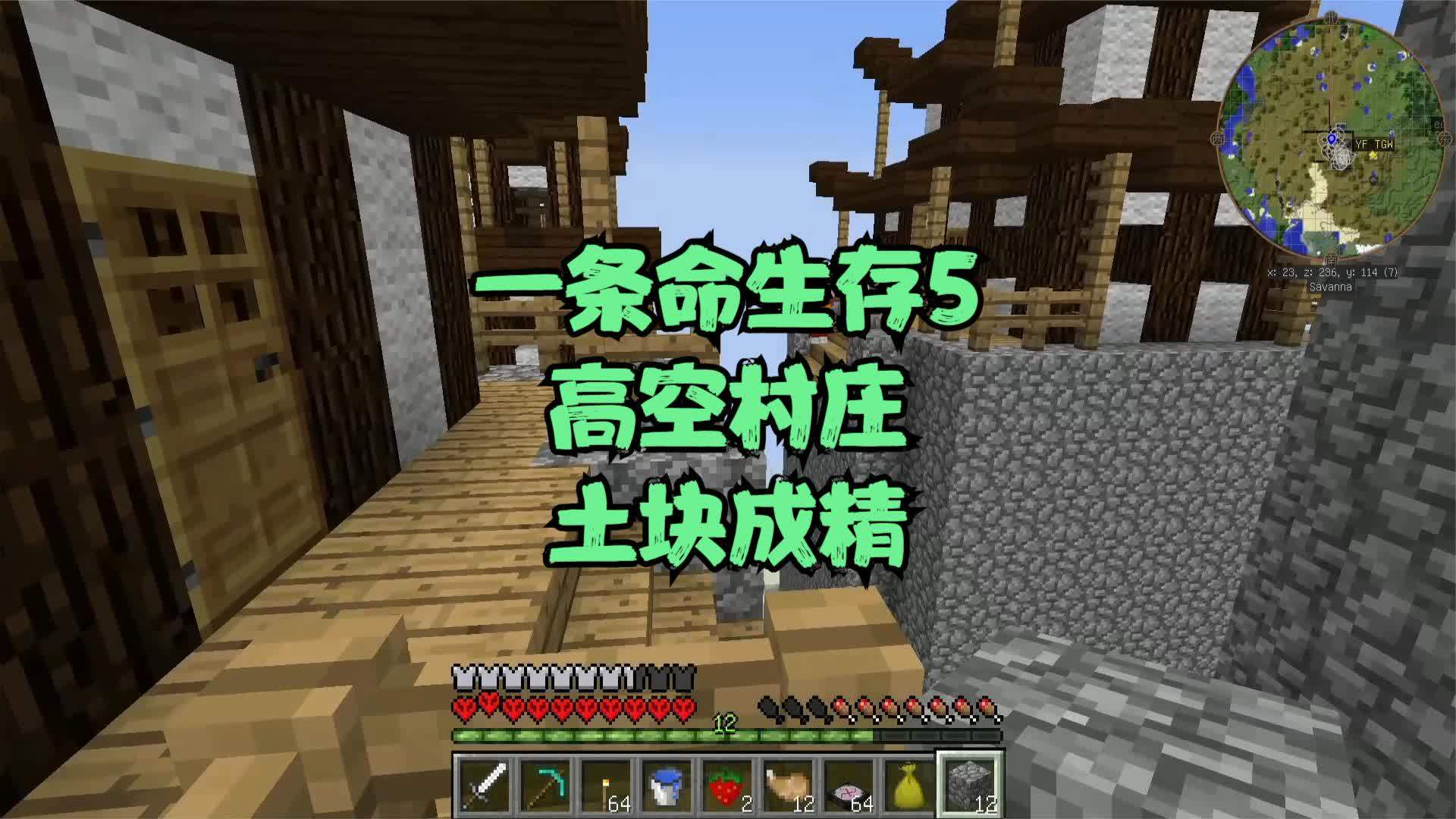 叶枫我的世界:一条命生存5高空村庄不简单