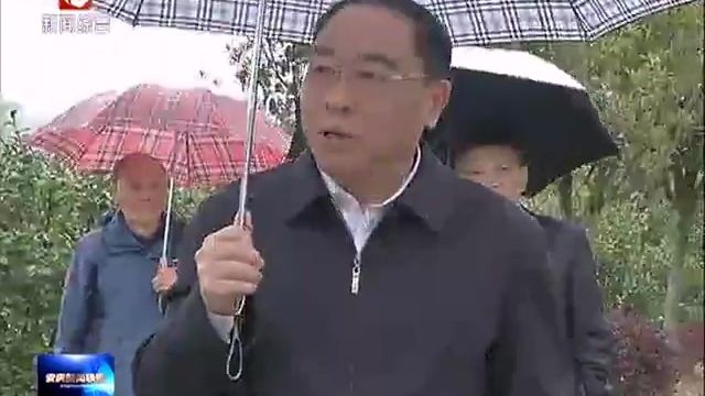章松到桐城调研深化林长制改革工作