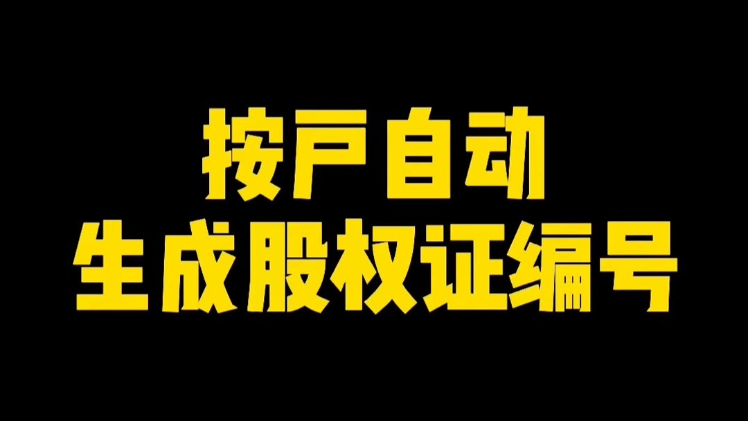 Excel按户自动生成股权证编号～