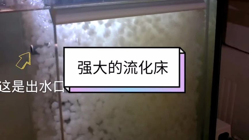 #DIY鱼缸过滤
