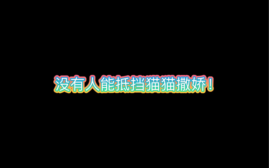 【蒲熠星】猫描撒娇太太太可爱了